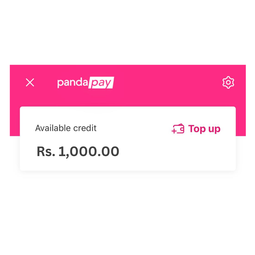 Pandapay Wallet Credit – Rider Shop PK